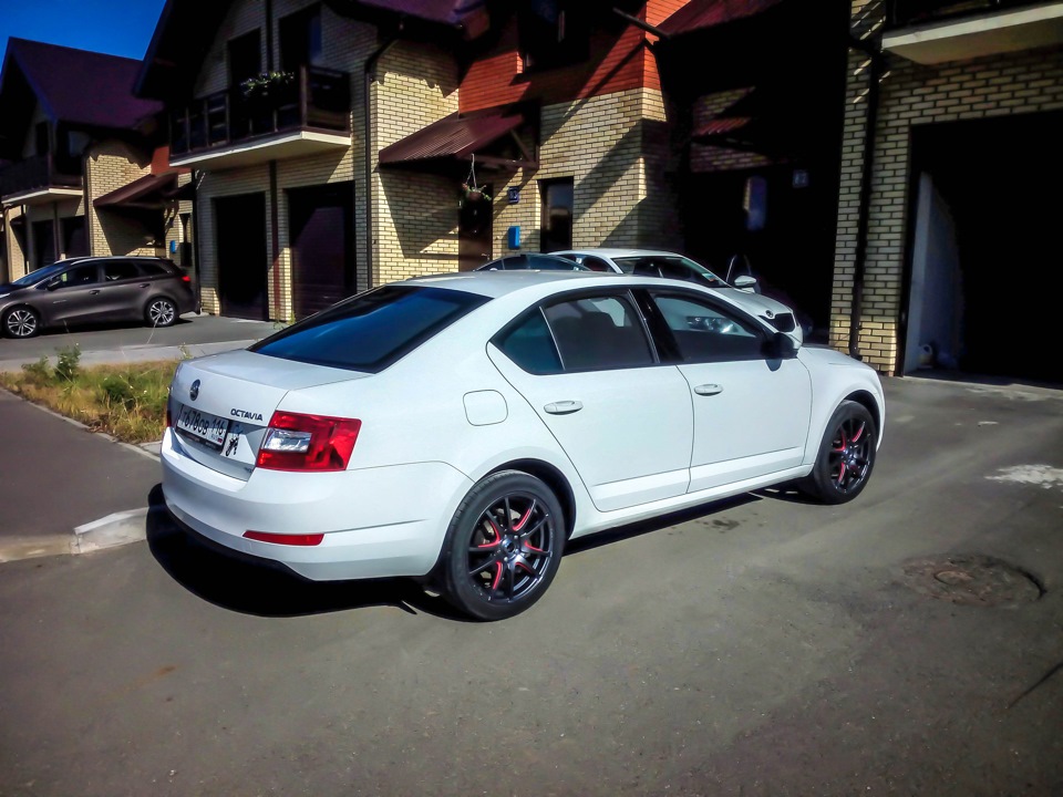 Автошторки Trokot — Skoda Octavia A7 Mk3, 1,4 л, 2013 года | аксессуары ...