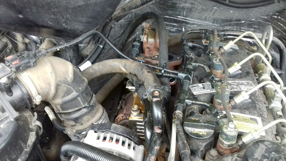 Заглушка EGR без прошивки — DRIVE2