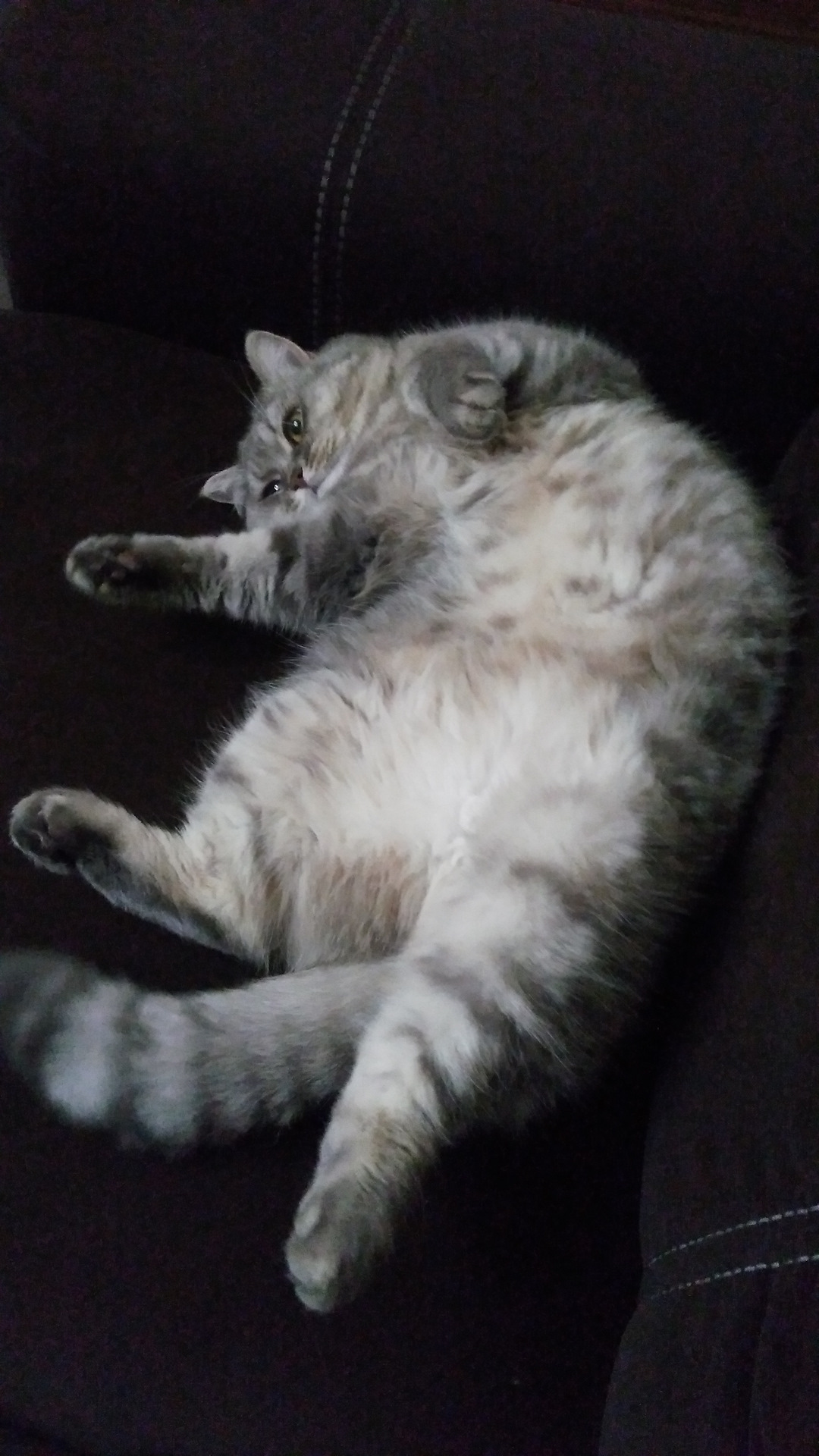 Полная замена жидкости ГУР bmw m57n. Промывка системы ГУР. Вскрытие ...