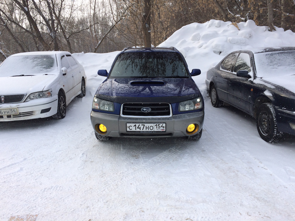 желтые туманки — Subaru Forester (SG), 2 л, 2002 года | тюнинг | DRIVE2