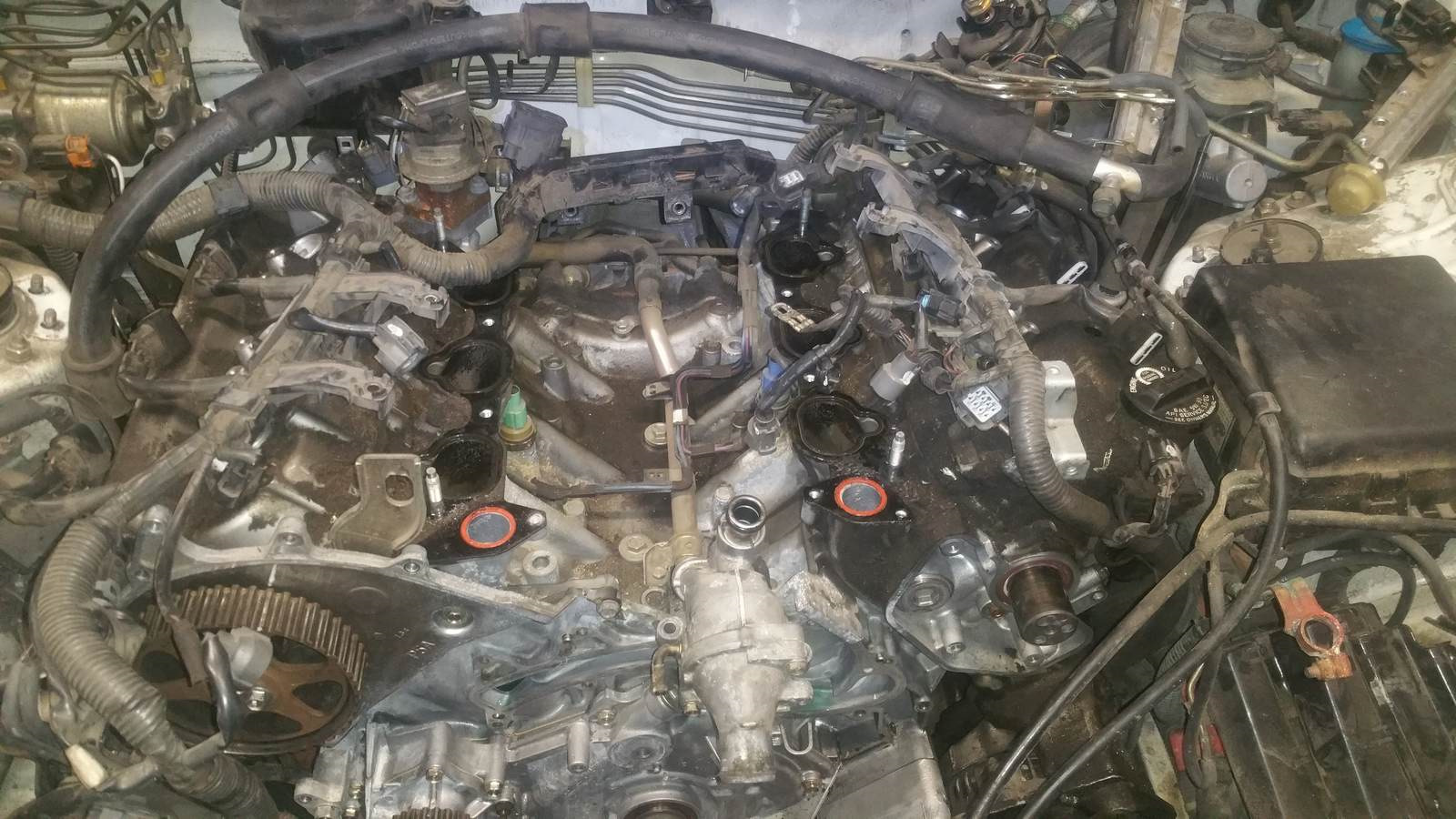 Купил. Масло рекой — Acura RL (KA9), 3,5 л, 1998 года | своими руками ...