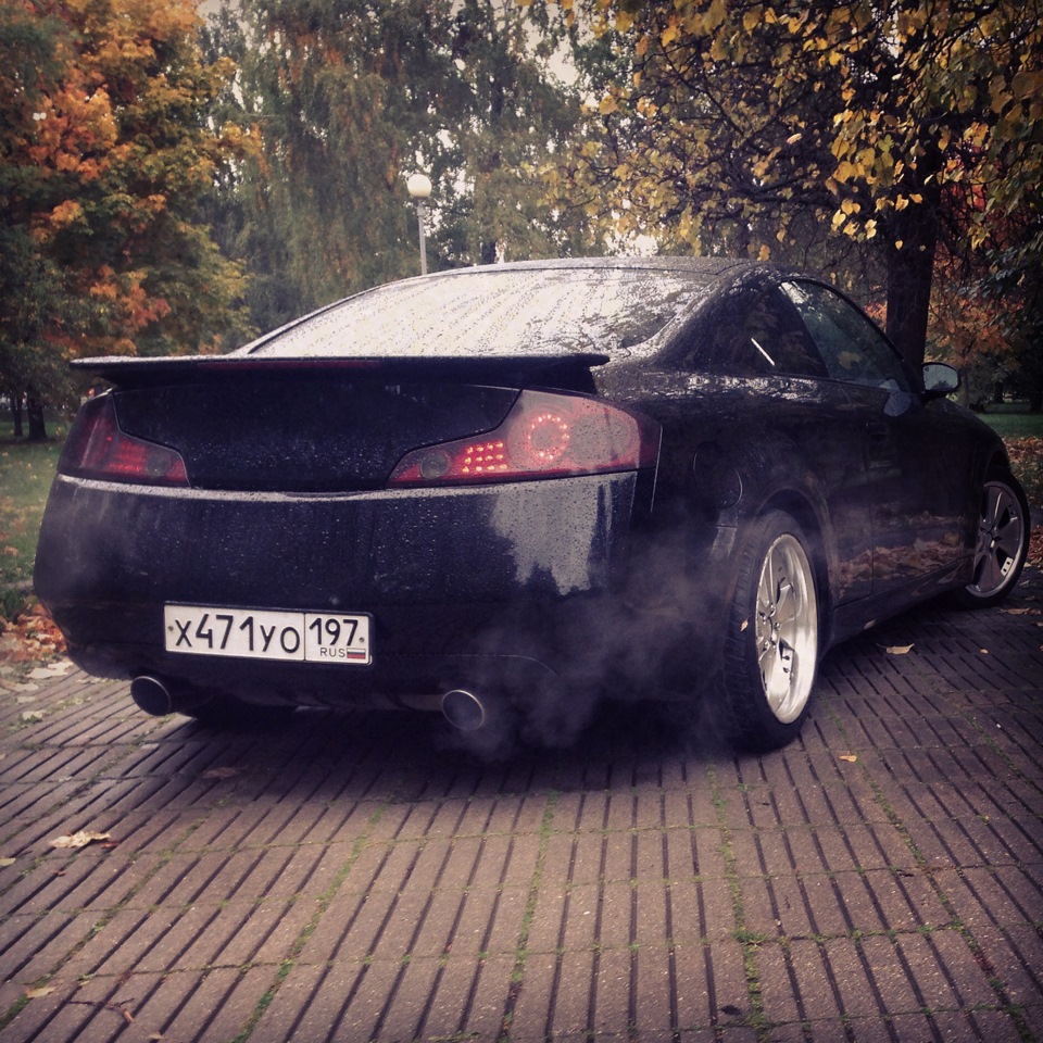 Осень 2014 — Infiniti G35 Coupe, 3,5 л, 2004 года | фотография | DRIVE2