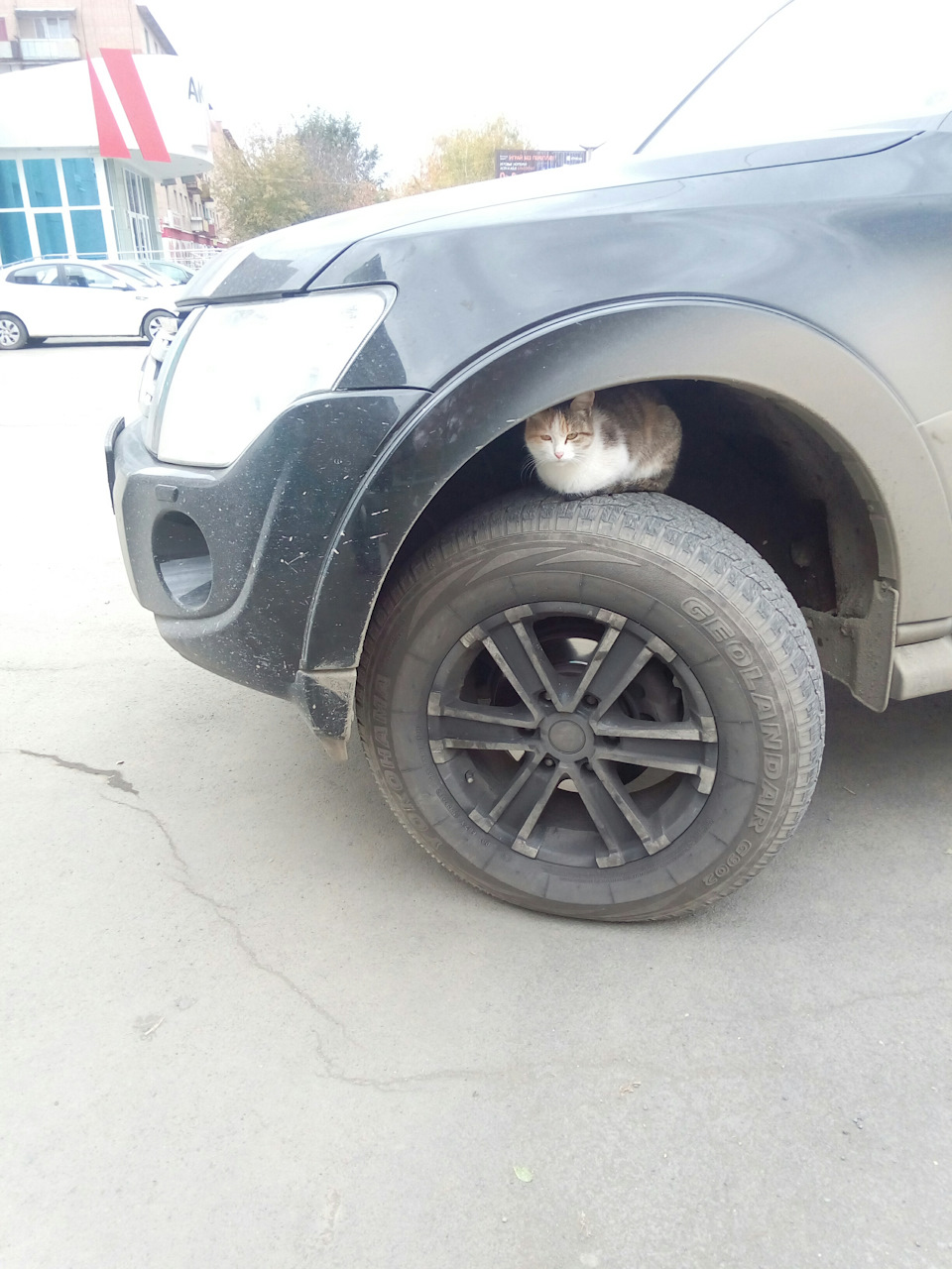 О пользе лифта — Mitsubishi Pajero (4G), 3 л, 2011 года | прикол | DRIVE2