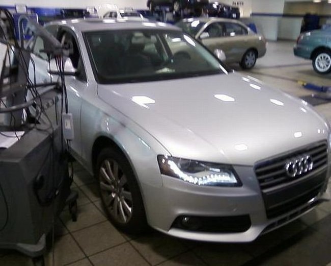 Гнездо опоссума под капотом Audi — DRIVE2