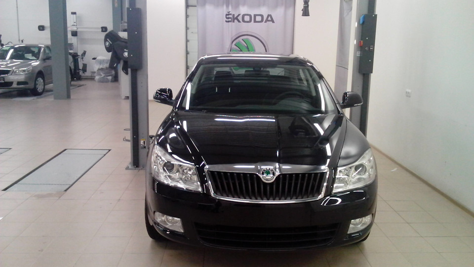 Замена масла фильтров перед дорогой — Skoda Octavia A5 Mk2 1 8 л