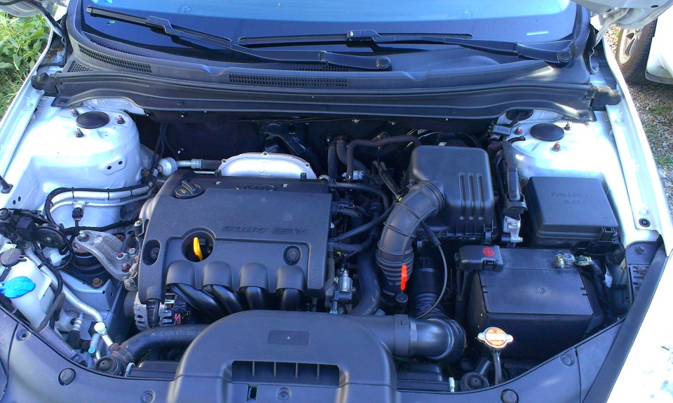 Даёшь клаксон — KIA Ceed (1G), 1,6 л, 2009 года | тюнинг | DRIVE2