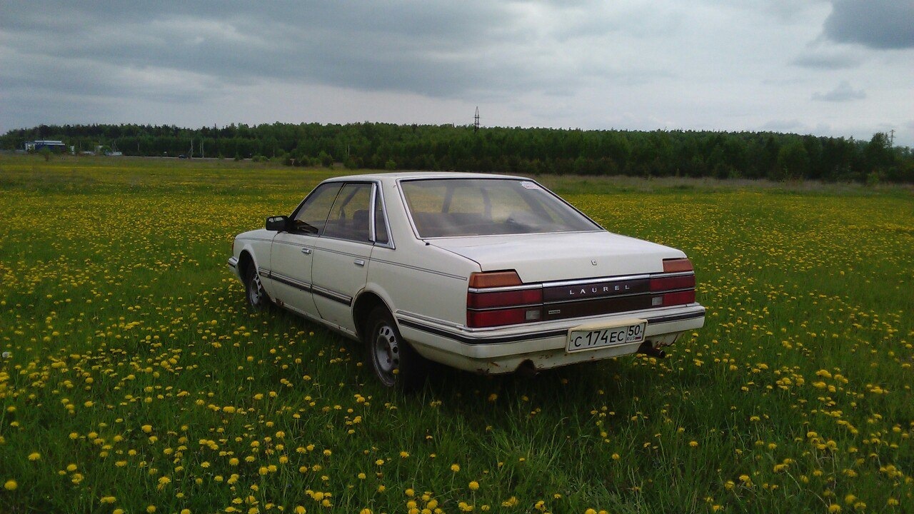 Новые фото Ларки) — Nissan Laurel (C31), 2 л, 1984 года | фотография ...