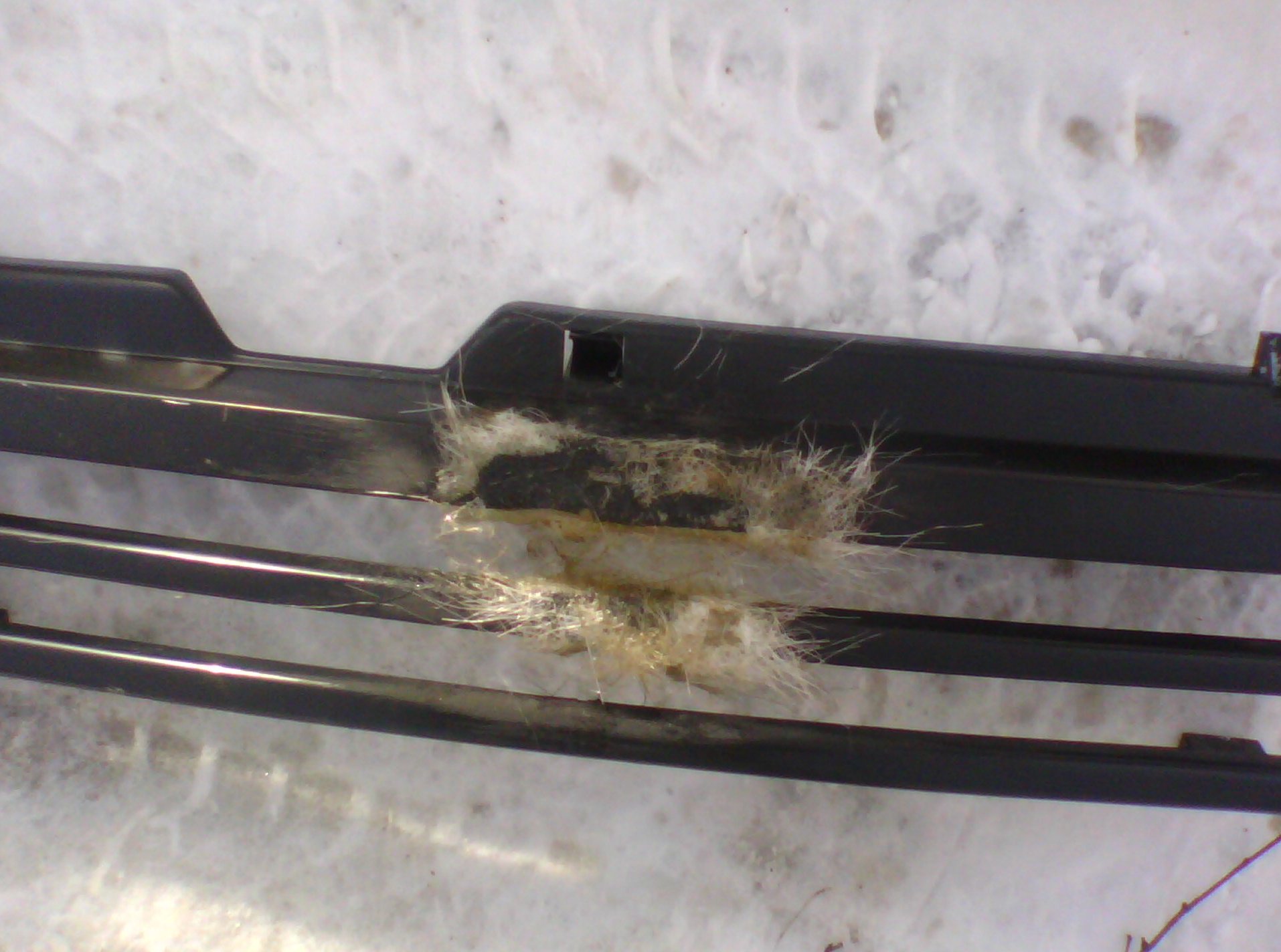 Теперь и я с Adidas)))) — Lada 2108, 1,6 л, 2003 года | аксессуары | DRIVE2