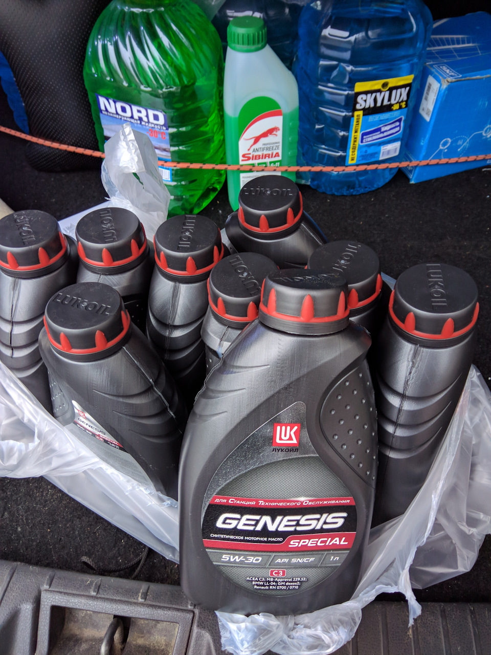 Лукойл Special c3 5w30 sn — Nissan Qashqai (1G), 2 л, 2007 года ...