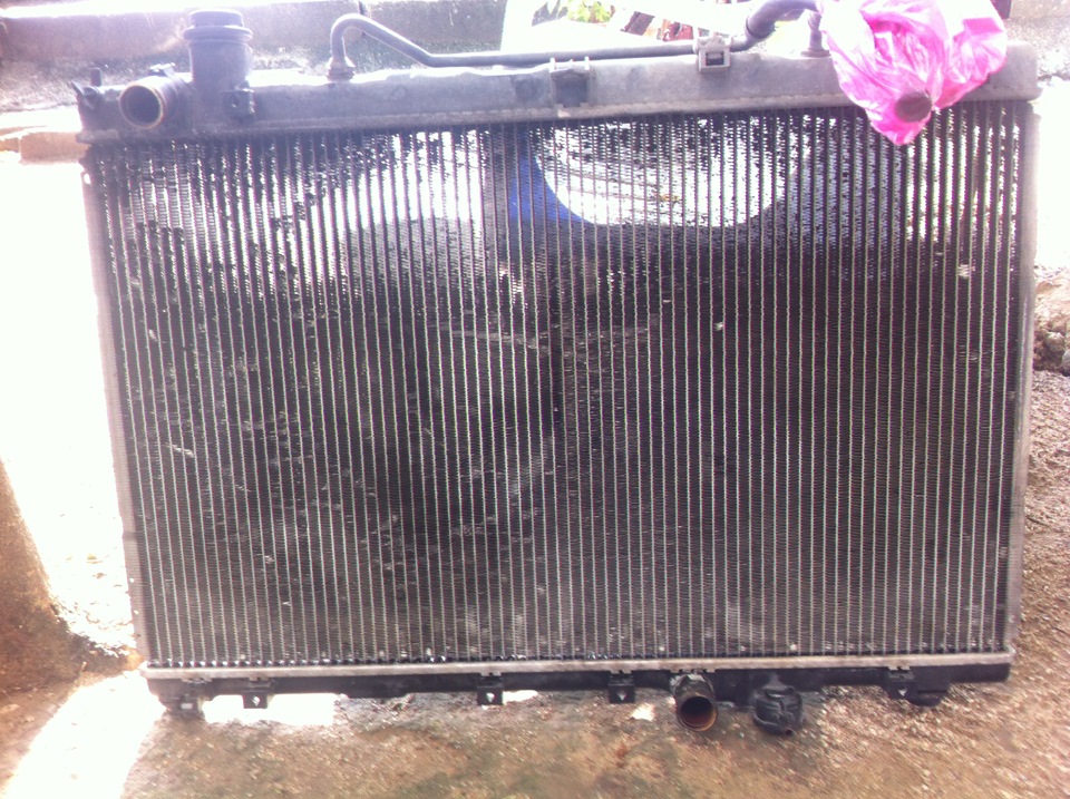 Change Thermostat and Service Radiator — Toyota Ipsum (10), 2 л, 1998 ...