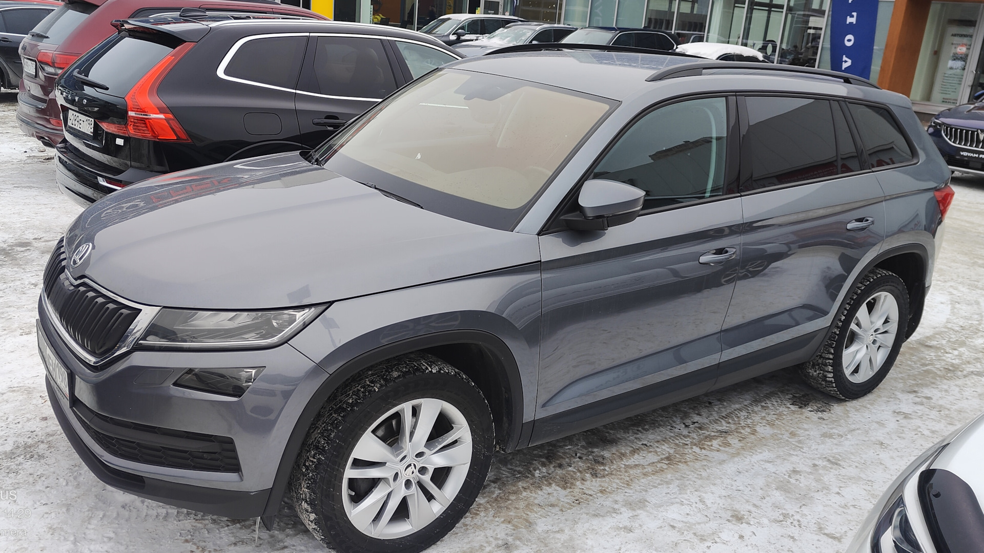 Skoda Kodiaq (1G) 1.4 бензиновый 2018 | 1.4 (150) Серый Мишка на DRIVE2