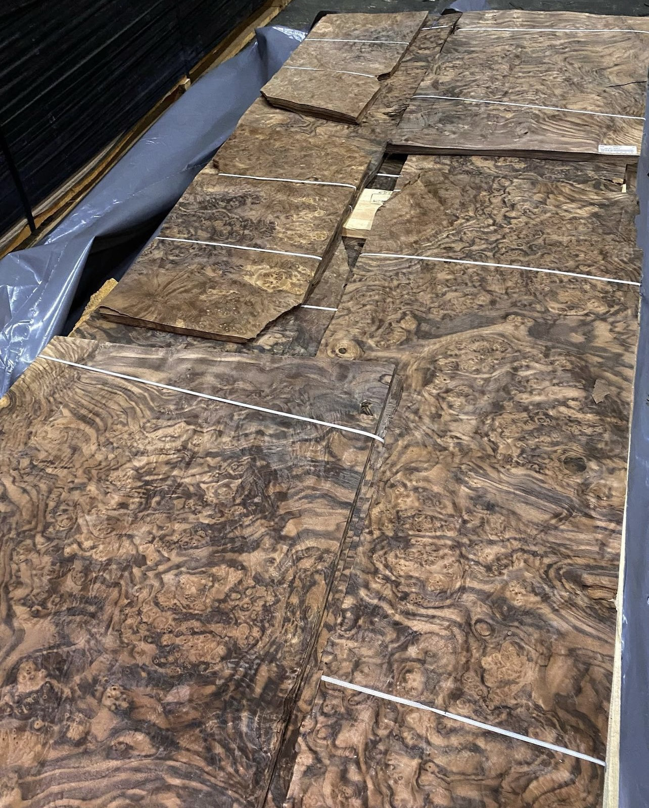 17. Birke Antrazit individual — BMW X5 (E53), 4,4 л, 2004 года ...