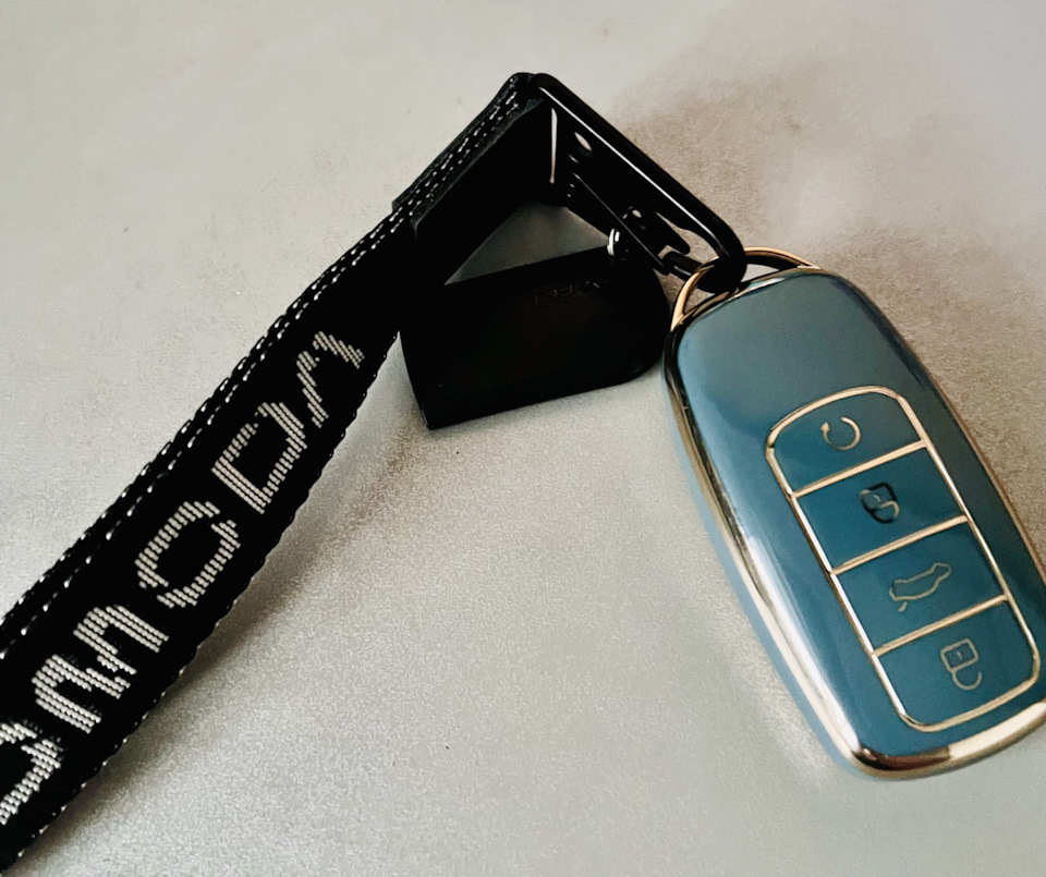 Чехол для ключа Omoda c5 — Omoda C5, 1,5 л, 2023 года | аксессуары | DRIVE2