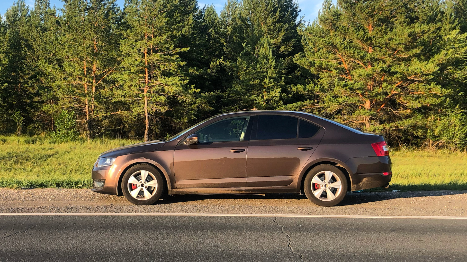 Skoda Octavia A7 Mk3 1.8 бензиновый 2013 | Czech Airlines на DRIVE2