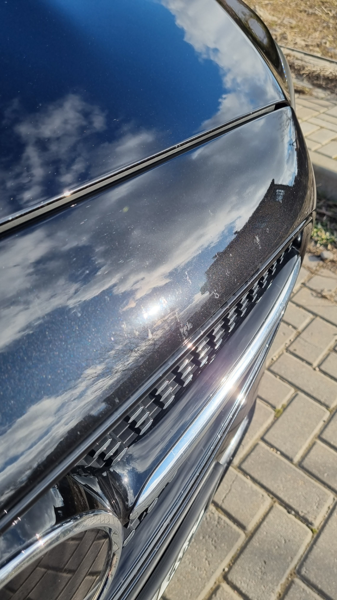 Мухи обыграли и уничтожили бронь — Mercedes-Benz E-Class (W213), 2 л ...