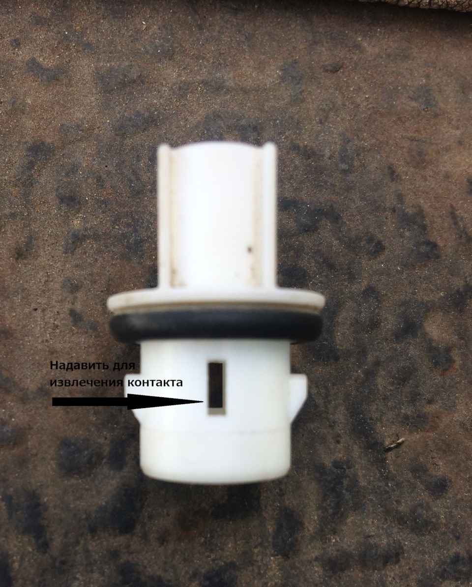 Замена лампочки подсветки номера — Nissan X-Trail II (t31), 2 л, 2014 ...