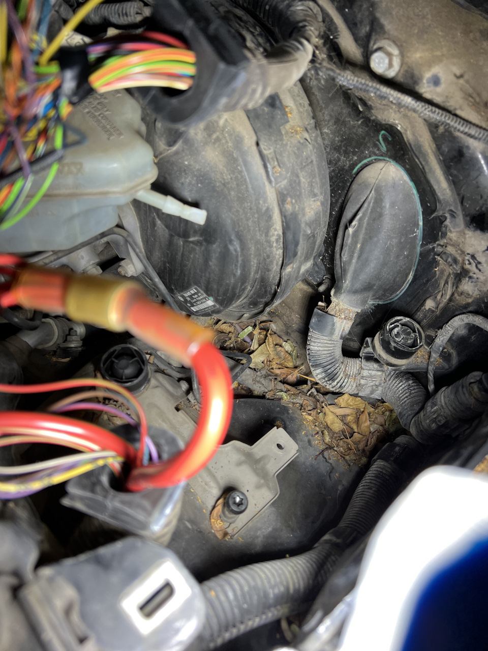 Профилактика трапеции и чистка дренажных карманов — Volkswagen Touareg ...