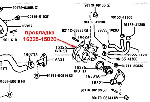 1632515020 Прокладка термостата TOYOTA LEXUS | Запчасти на DRIVE2