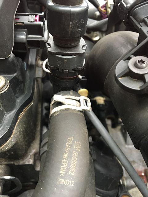 55565952 Шланг маслоохладителя GM | Запчасти на DRIVE2