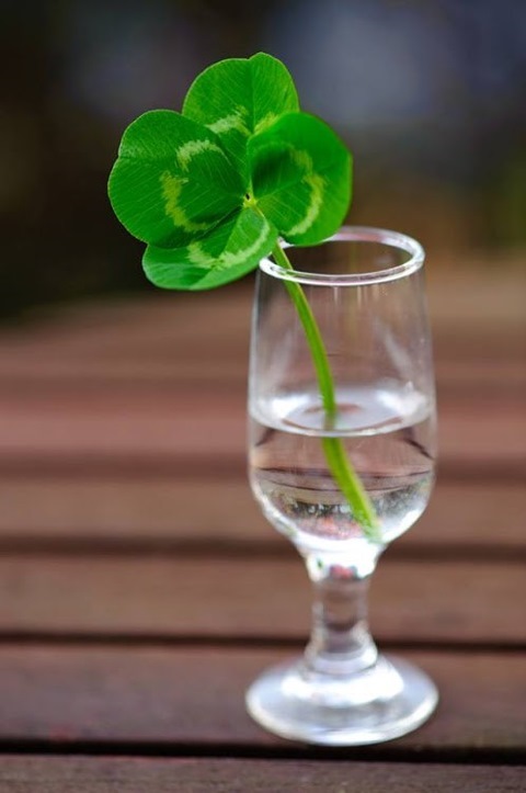 Куплю ZENDER MILANO 5х98 r17 — Alfa Romeo 164, 3 л, 1990 года ...