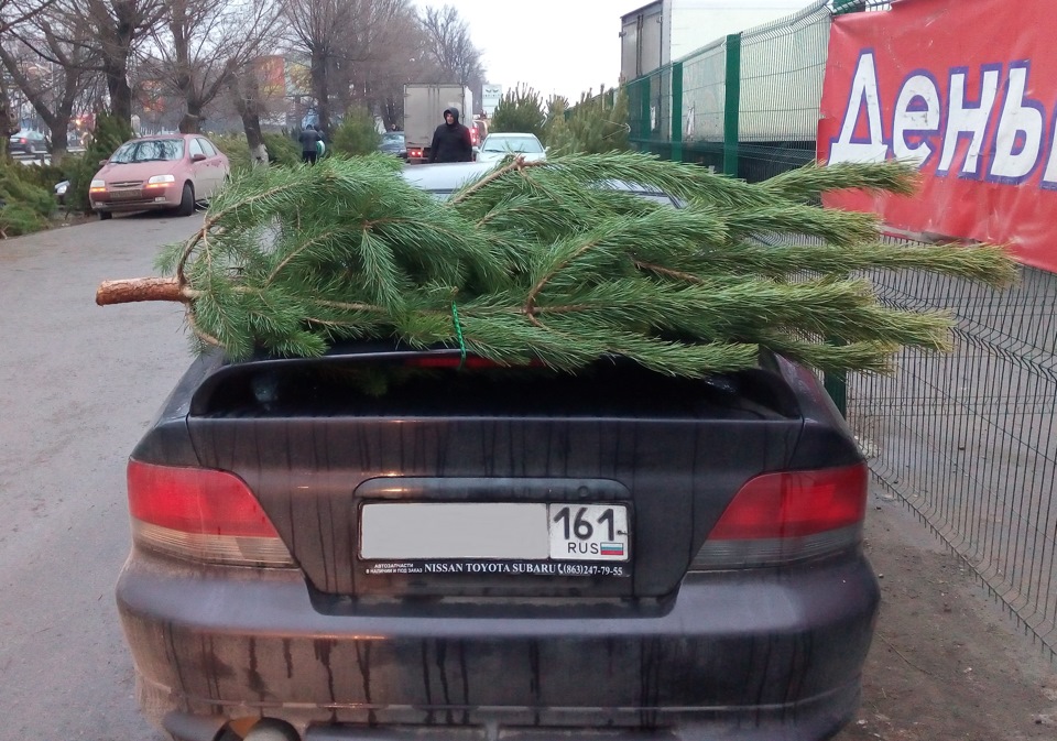 Ёлочка — Mitsubishi Galant VR-4, 2,5 л, 1997 года | прикол | DRIVE2