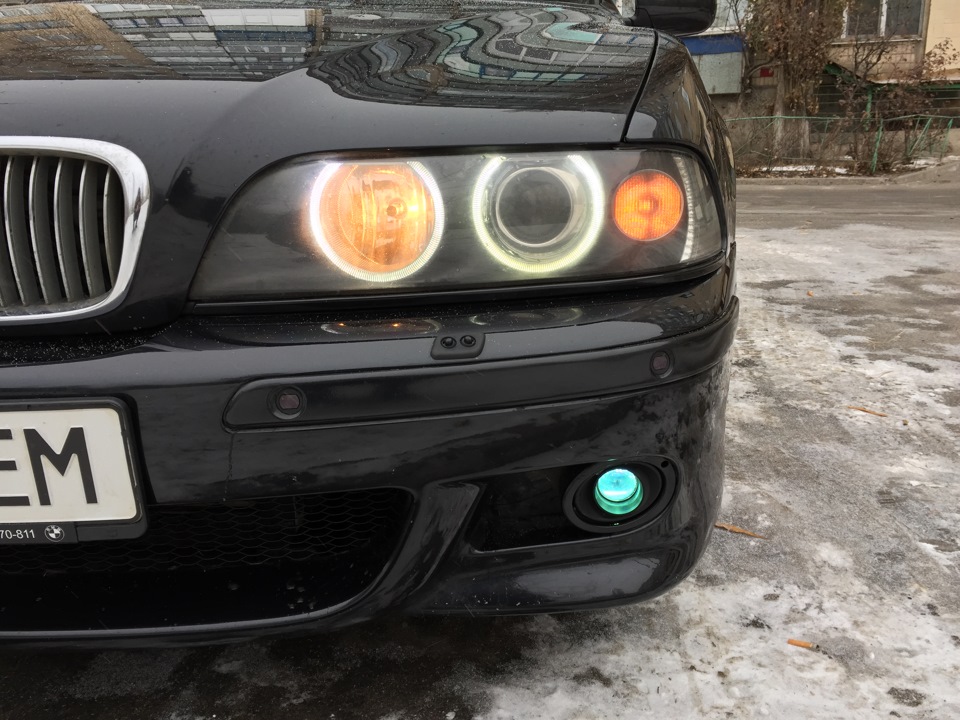 Новые птф — BMW 5 series (E39), 3 л, 2001 года | стайлинг | DRIVE2