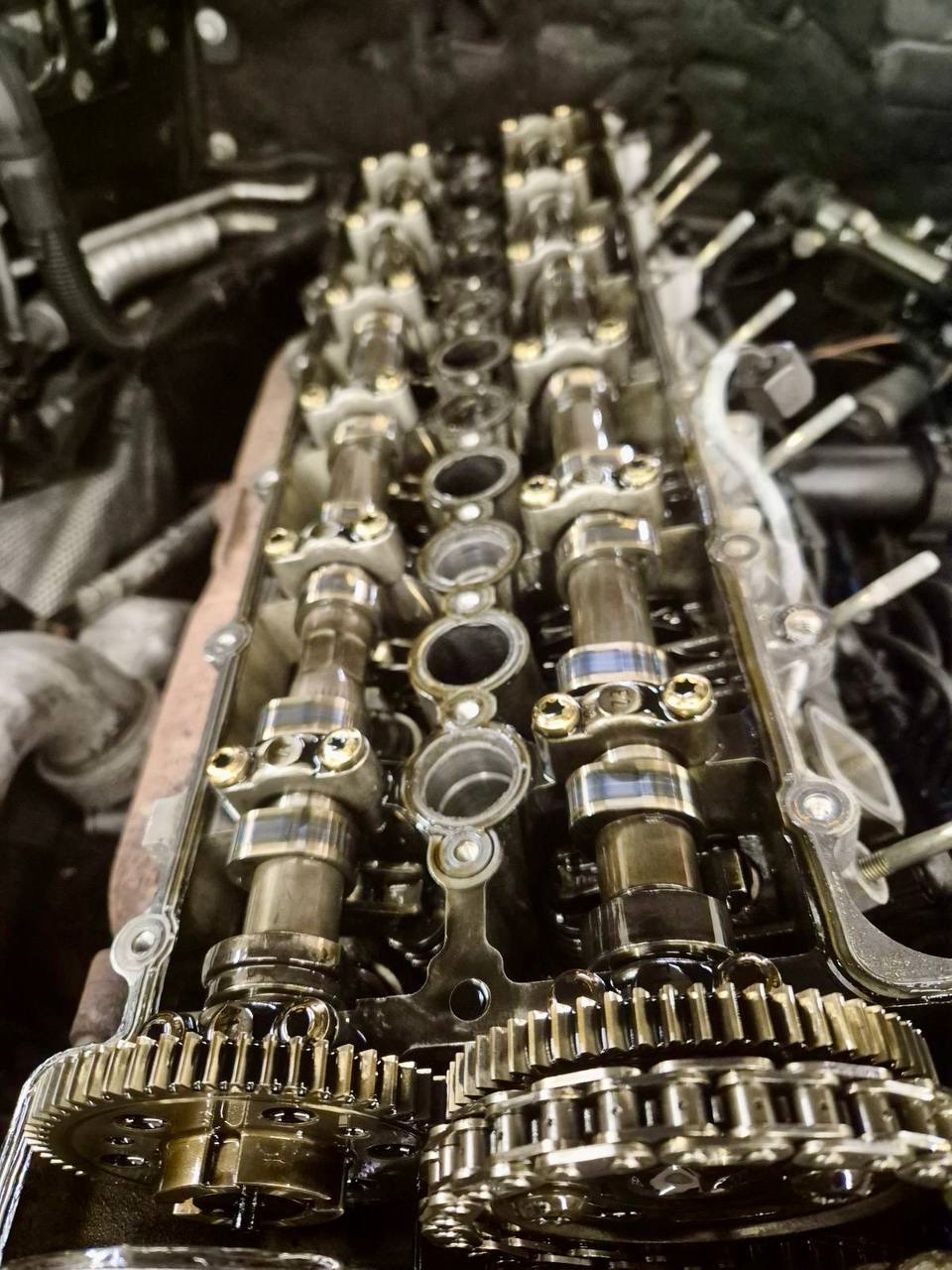 ГРМ m57n — BMW 5 series Touring (E61), 2,5 л, 2005 года | плановое ТО ...