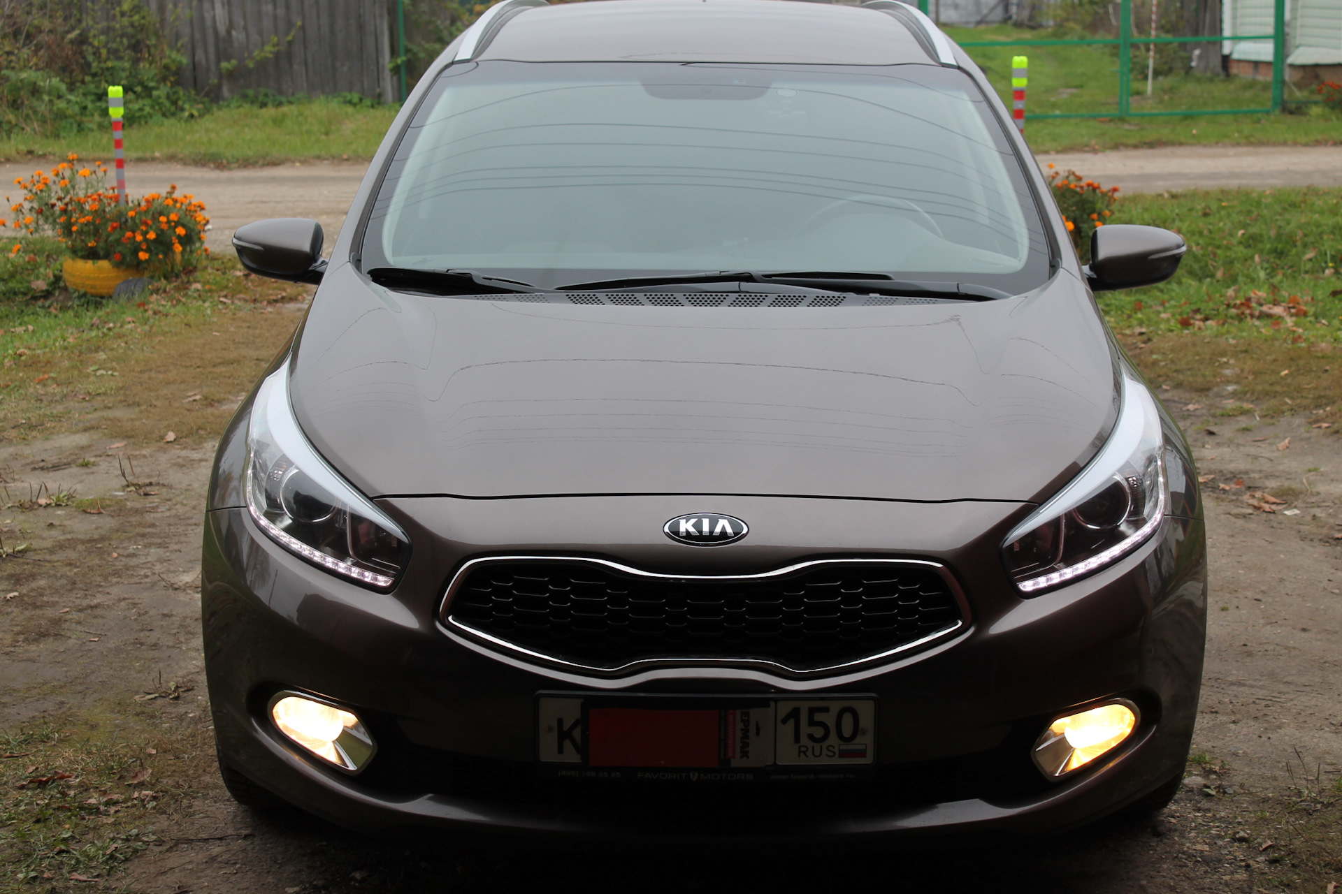 Лампы ПТФ Н8 (MTF Aurum) — KIA Ceed (2G), 1,6 л, 2013 года | фотография ...
