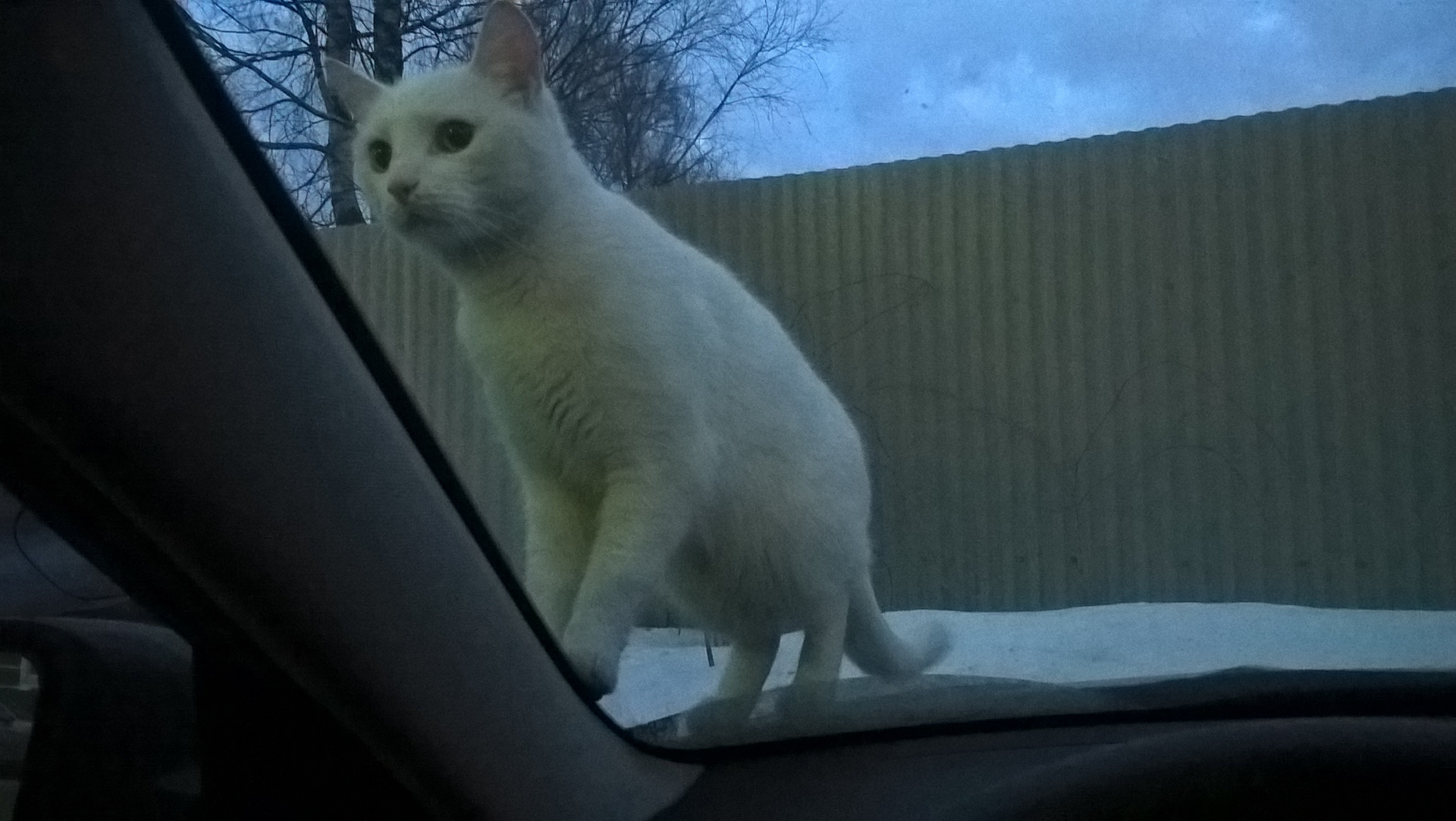 Что ни делается — всё к тюнингу — Subaru Outback (BP), 2,5 л, 2004 года ...