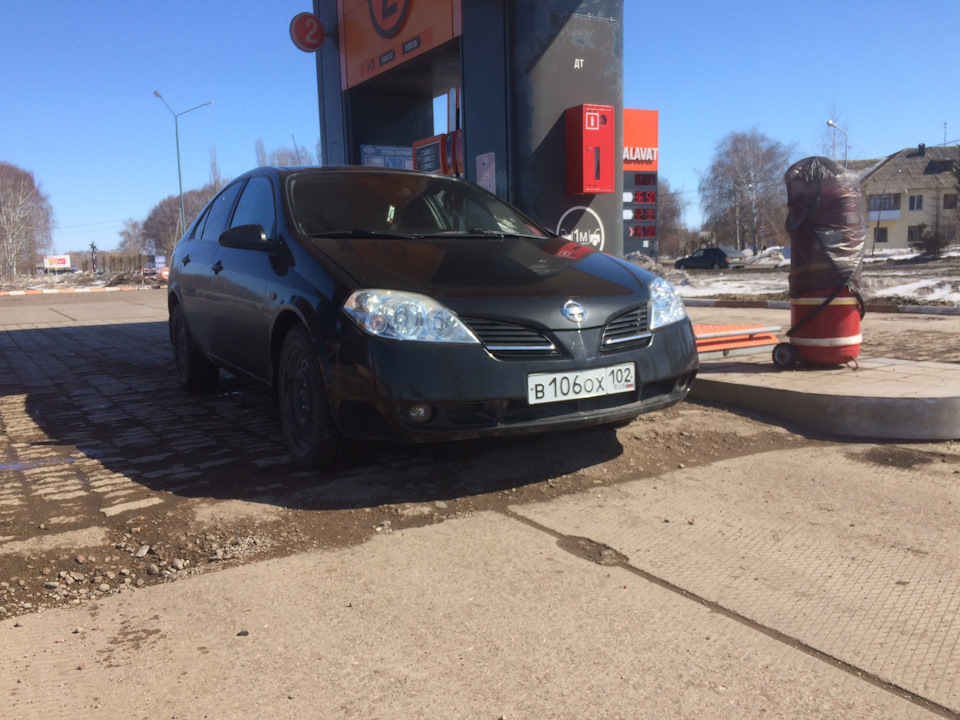 1. Первым делом тонировка — Nissan Primera (P12), 1,6 л, 2007 года ...