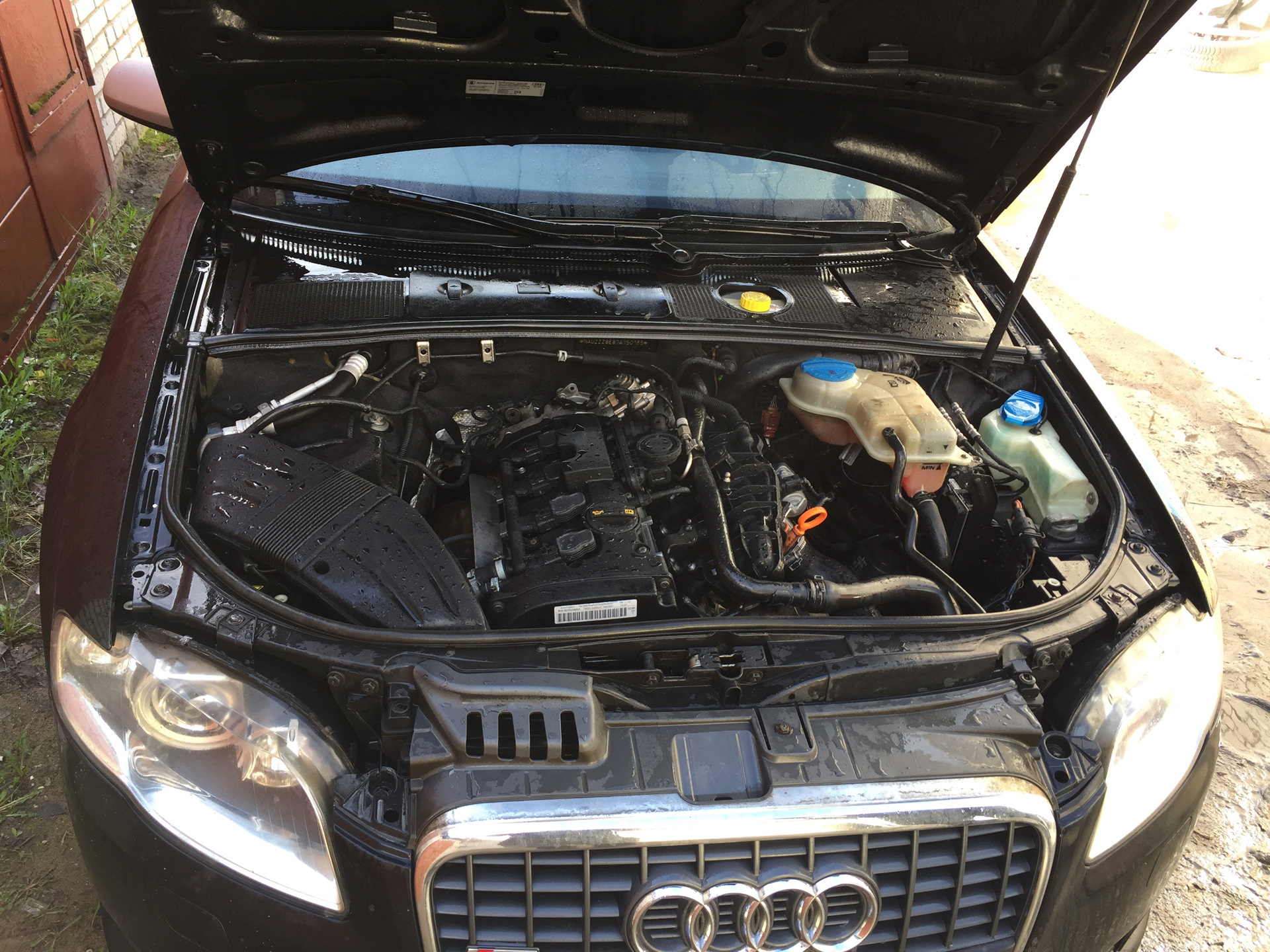 Мойка подкапотки — Audi A4 (B7), 2 л, 2006 года | мойка | DRIVE2