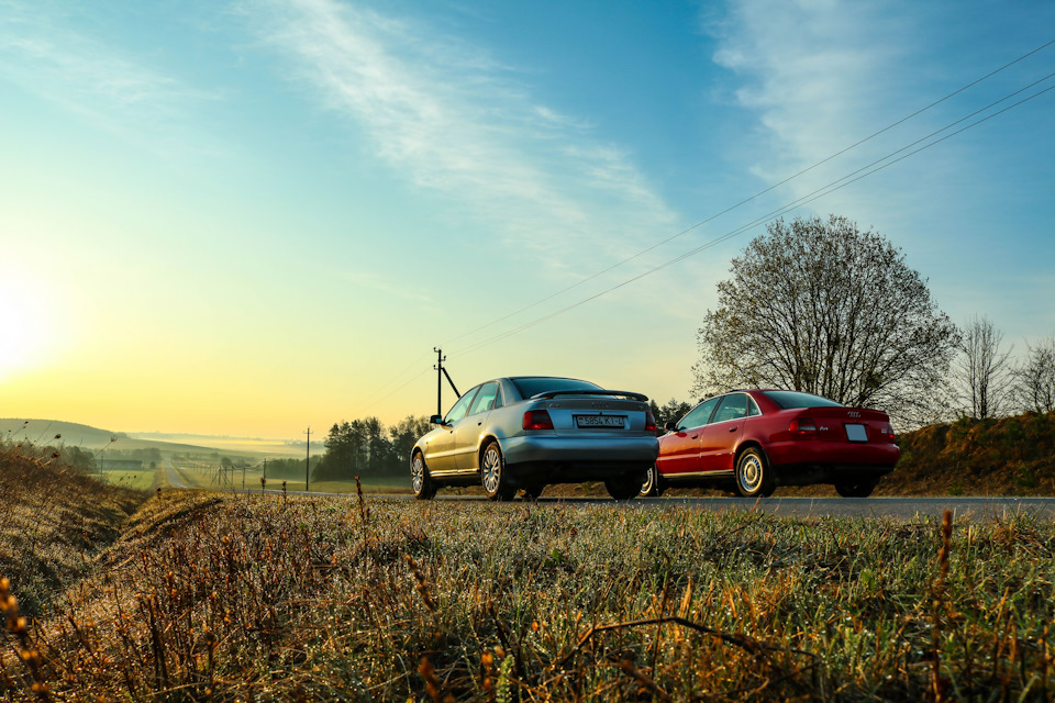 Клипсы жабо (водоотводящего щитка). Поиск номера — Audi A4 (B5), 1,8 л ...
