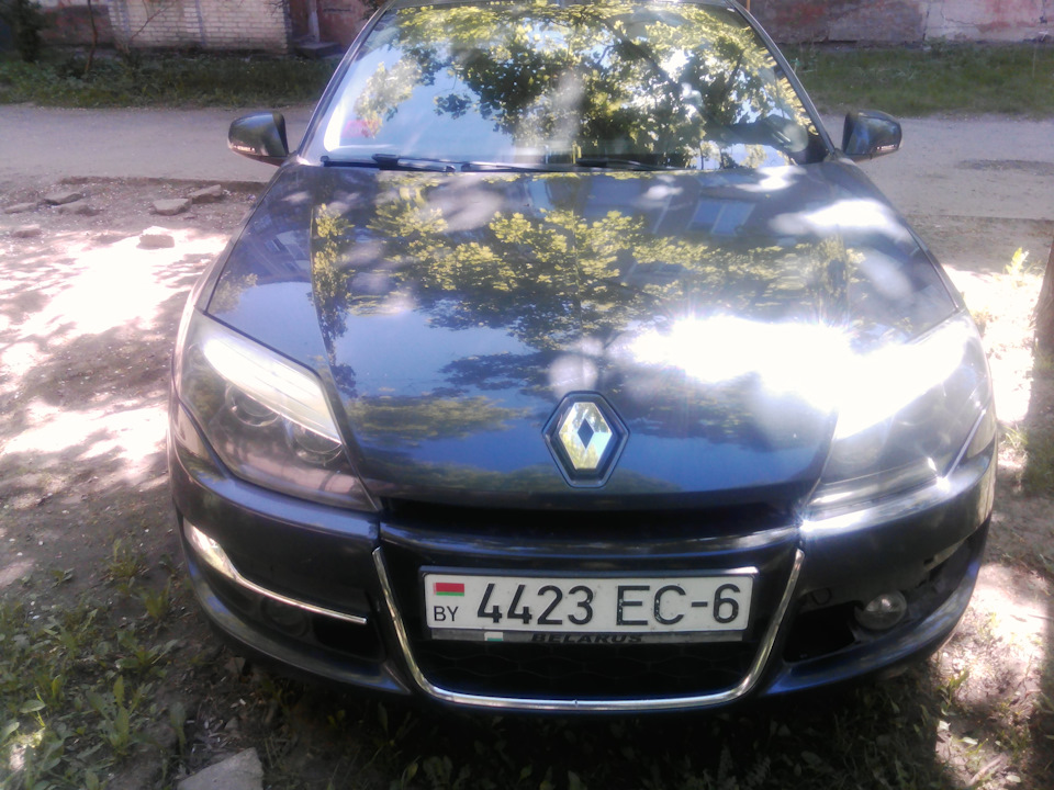 Замена ПТФ Рено Лагуна 3 — Renault Laguna III, 1,5 л, 2010 года ...