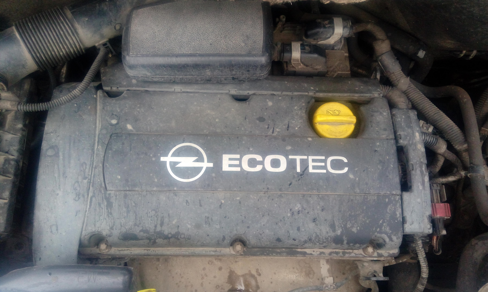 Замена свечей зажигания — Opel Meriva (A), 1,6 л, 2007 года | расходники | DRIVE2