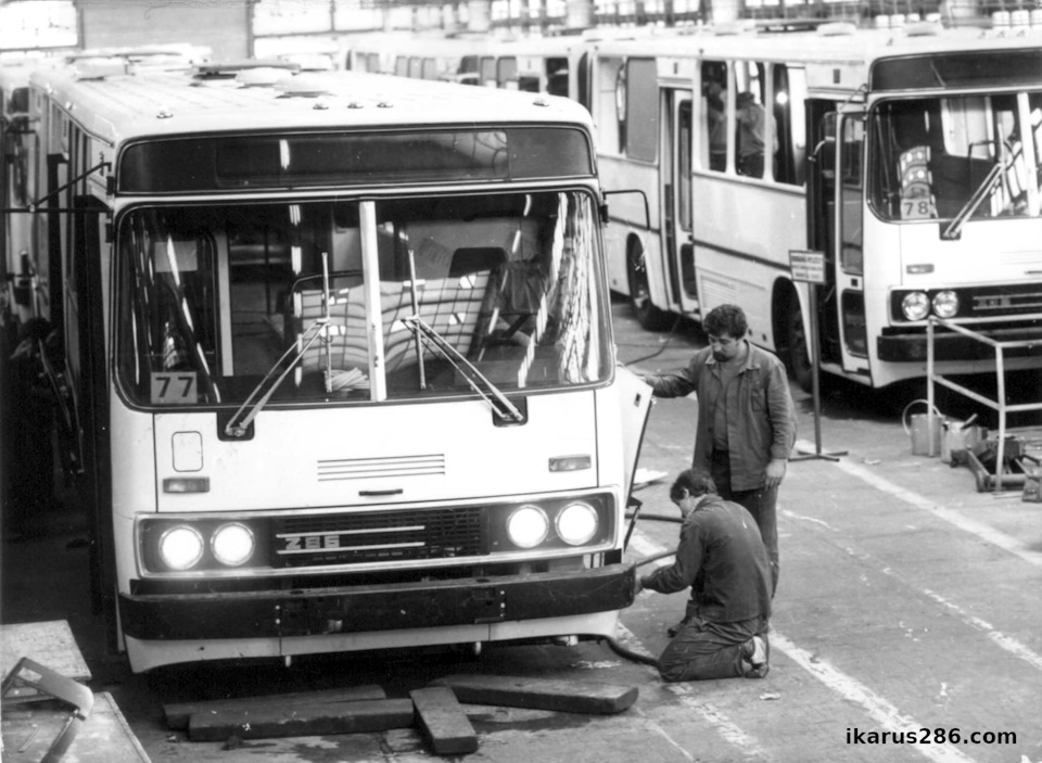 Американский Икарус 286. История появления — IKARUS 286, 9,9 л, 1982 ...