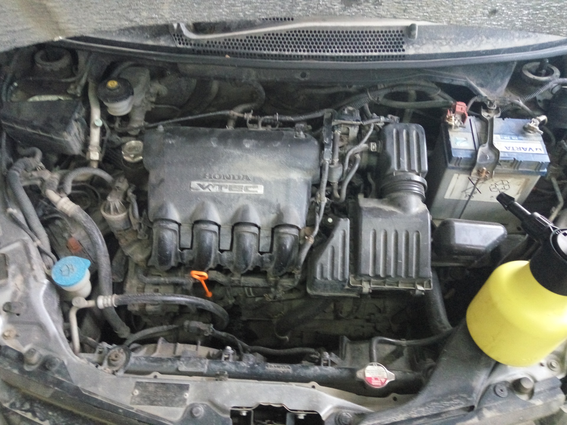 Мойка двигателя — Honda Airwave, 1,5 л, 2005 года | мойка | DRIVE2