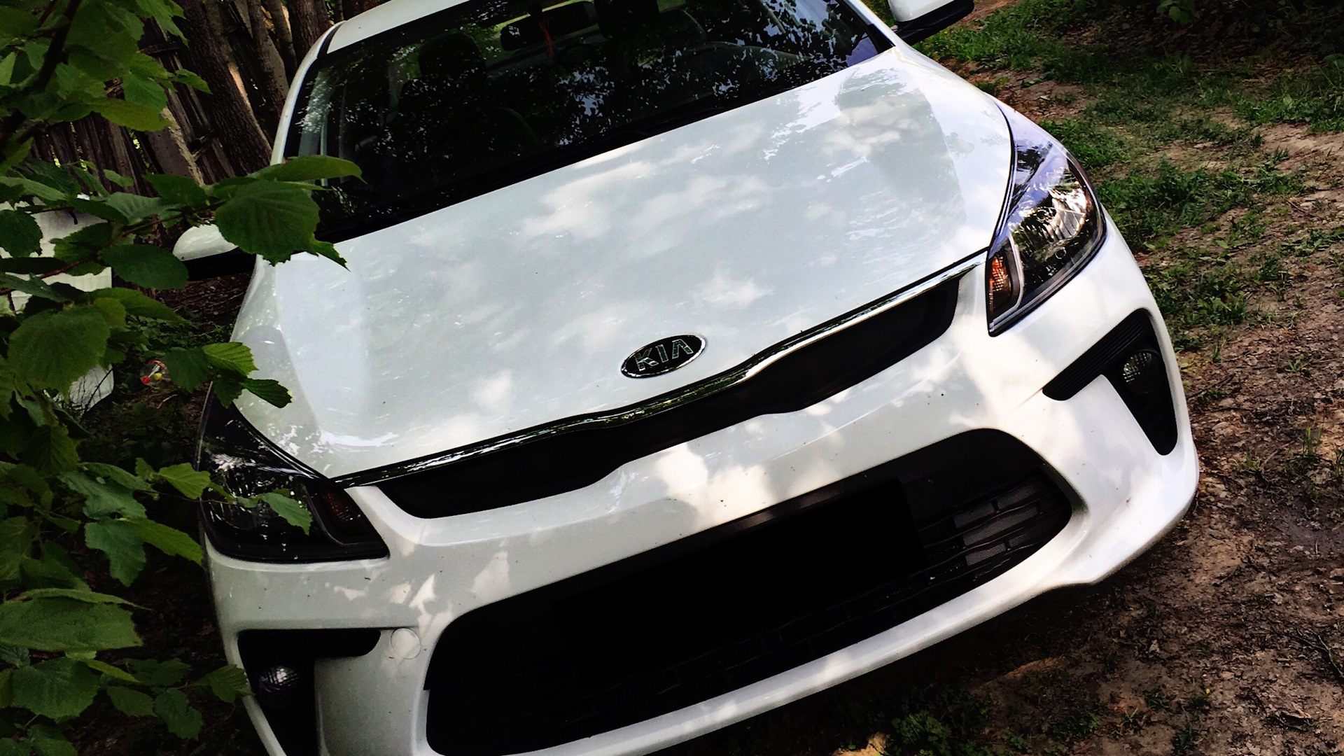 KIA Rio (4G) 1.4 бензиновый 2017 | White на DRIVE2