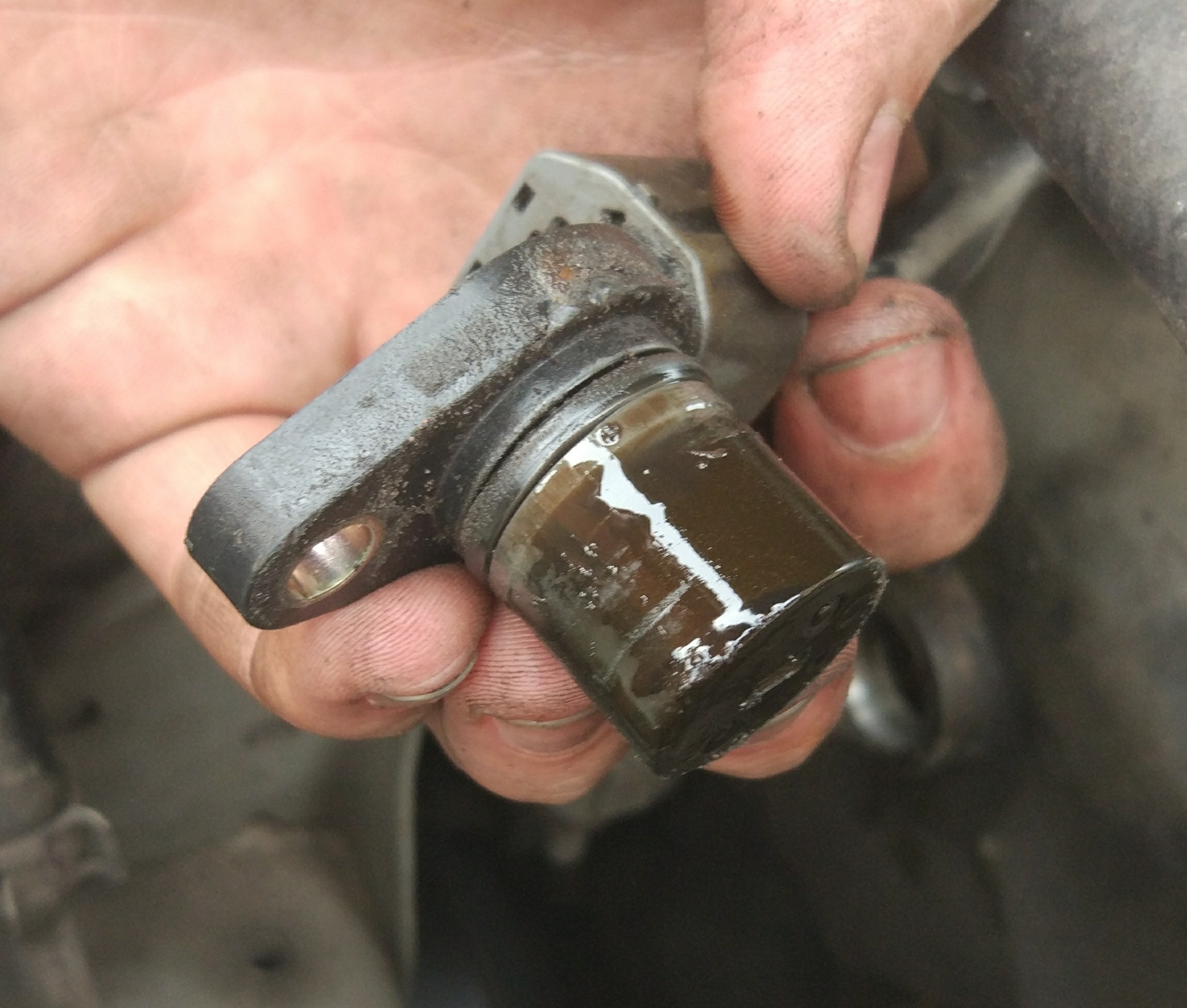 прокладка датчика распредвала — Nissan Maxima QX (A33), 3 л, 2003 года ...