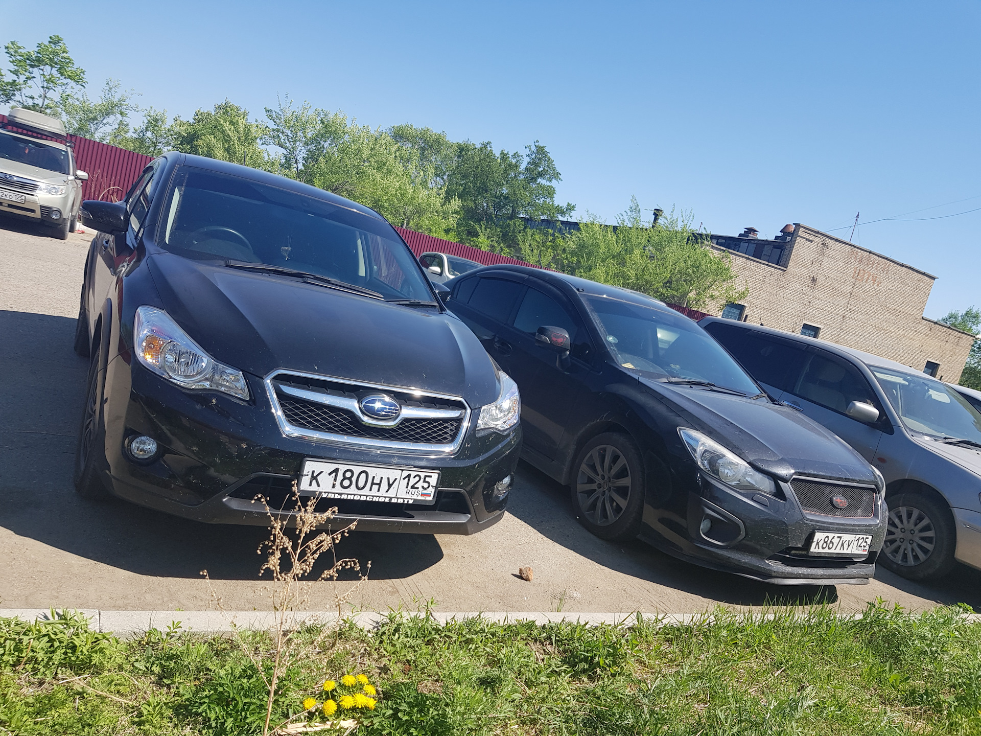 совместное фото — Subaru Impreza (GJ/GP), 2 л, 2012 года | просто так ...