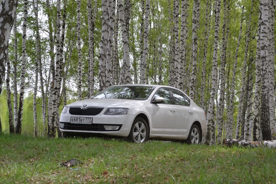 Багажник на крышу (поперечные дуги) — Skoda Octavia A7 Mk3, 1,4 л, 2014 ...