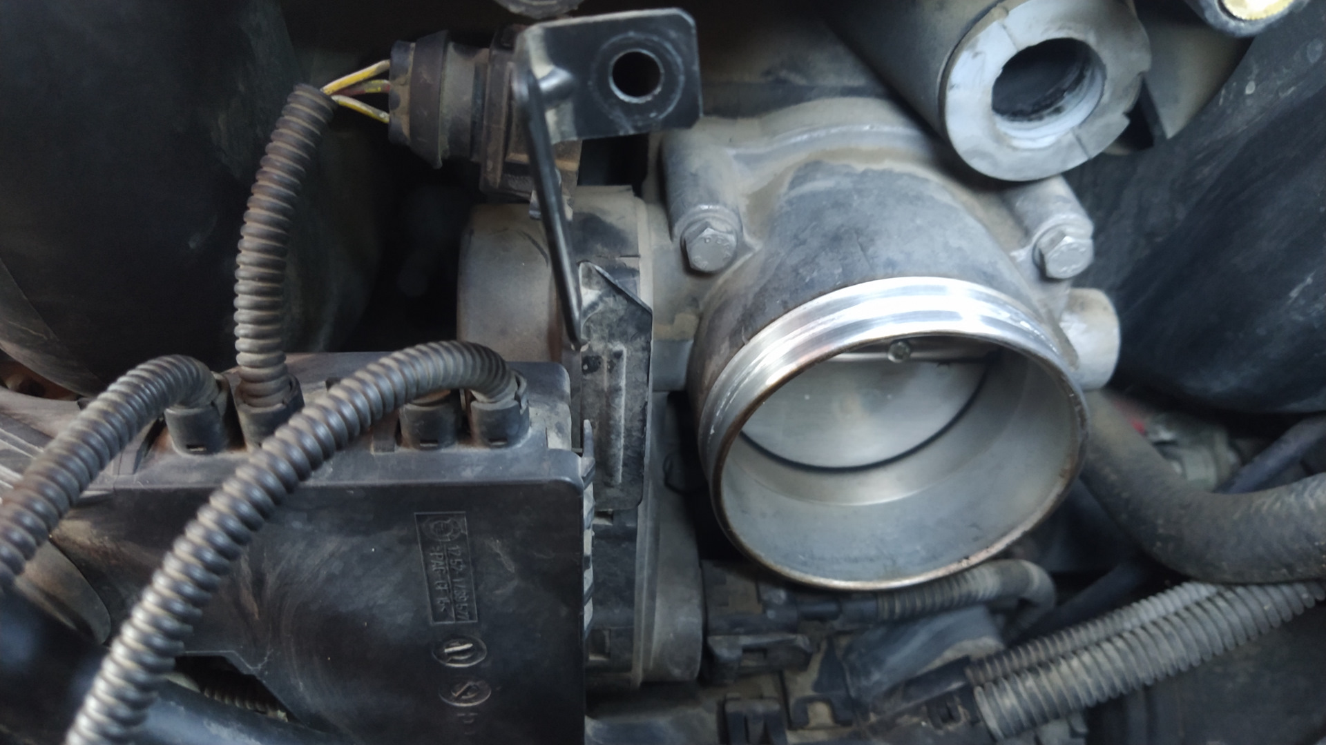 Check Engine вроде починил — BMW 3 series (E46), 3 л, 2001 года ...