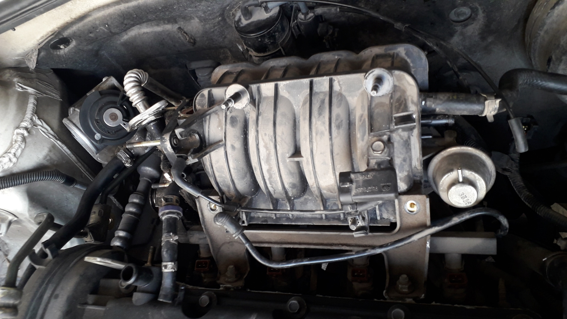 Проглодит! — Daewoo Lacetti, 1,5 л, 2003 года | поломка | DRIVE2