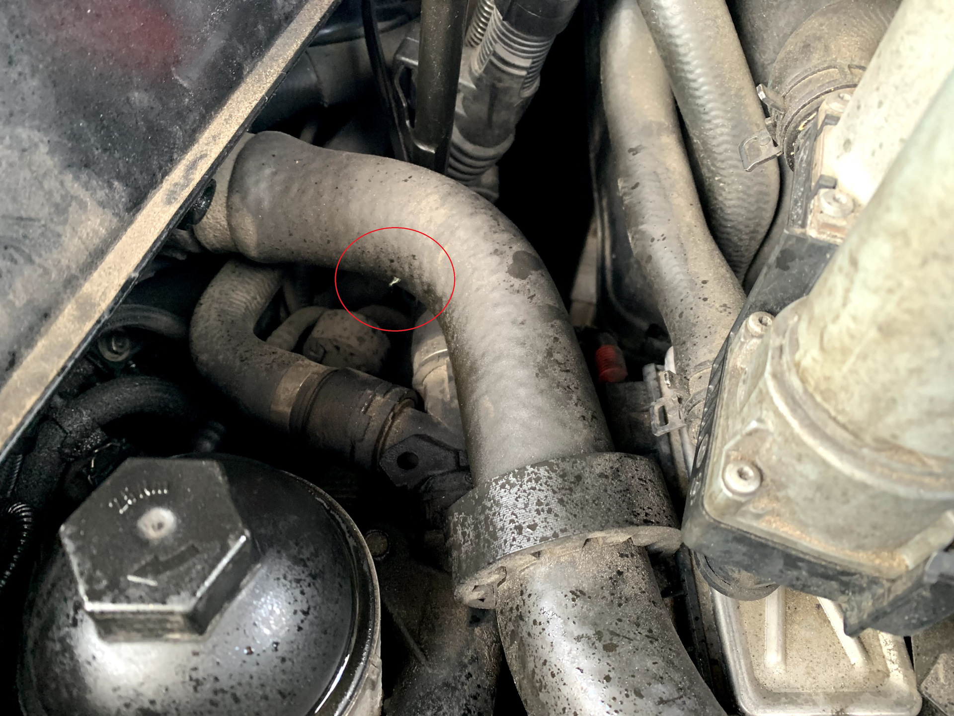 Не долго музыка играла: утечка антифриза — BMW X3 (E83), 3 л, 2007 года ...