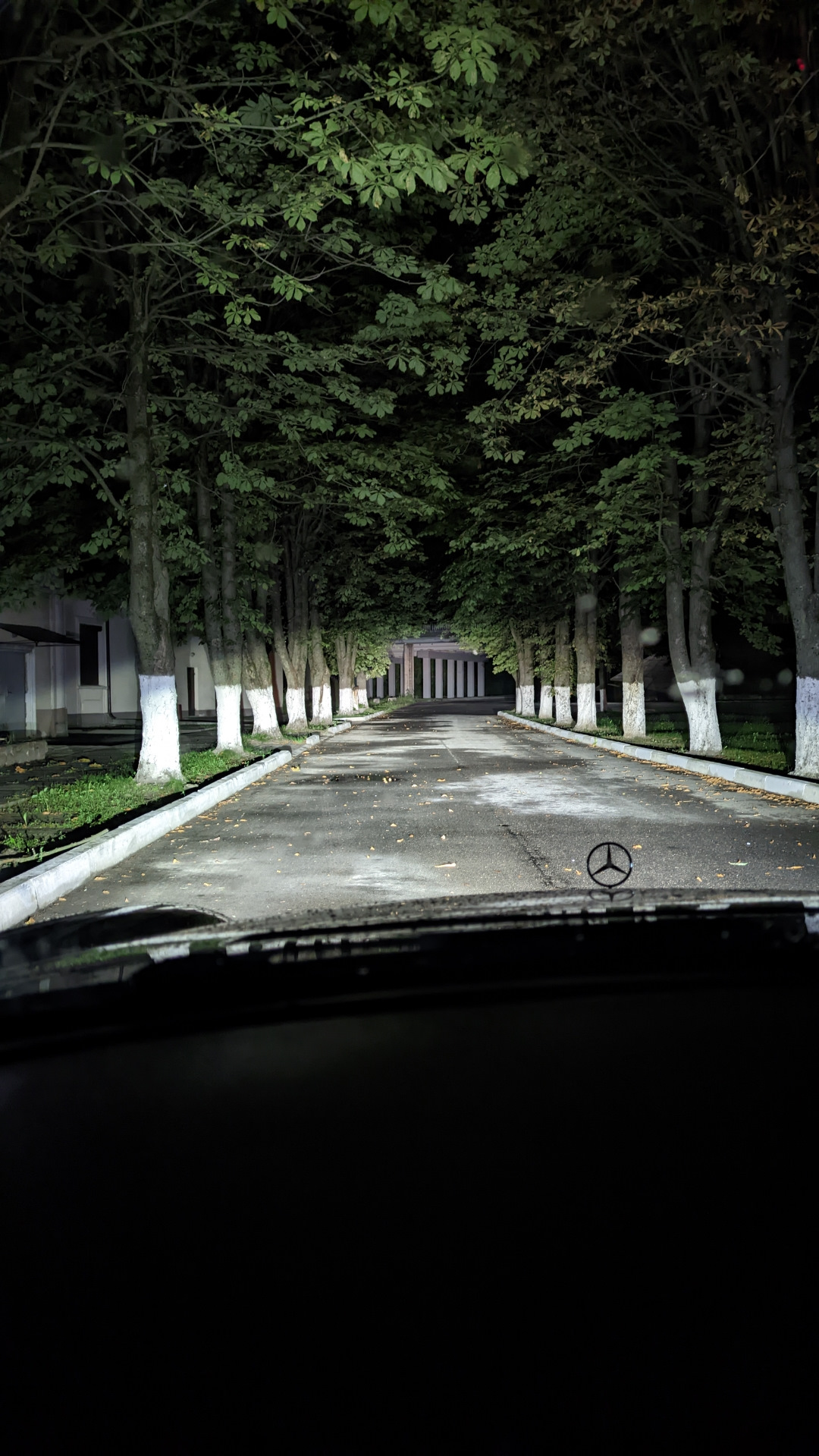 #47 Мерс прозрел или установка BiLED линз Aozoom A13 в w210 — Mercedes ...