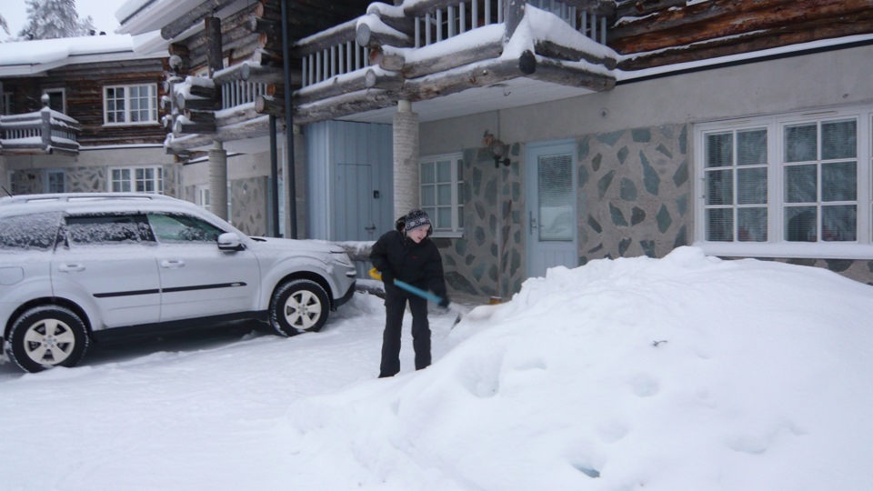 SUBARU FORESTER FB25 | на DRIVE2