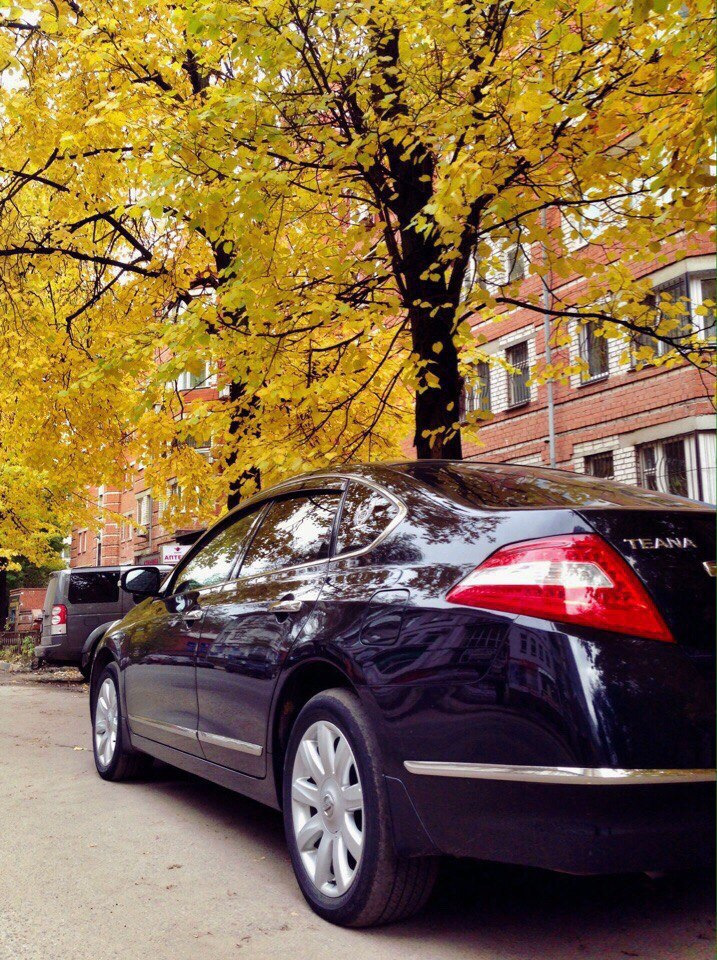 То, о чем никогда не писал. Видимо пришло время — Nissan Teana (J32), 2 ...