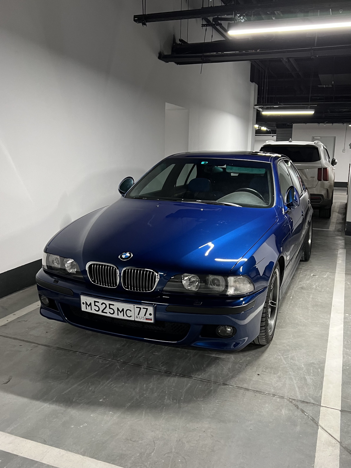 Дорест лук — BMW M5 (E39), 4,9 л, 2000 года | наблюдение | DRIVE2