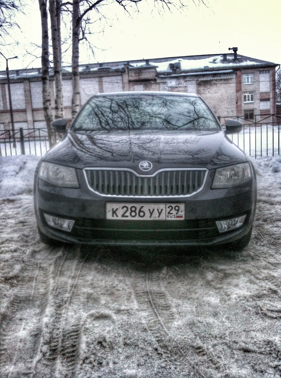 Во все четыре глаза. Часть 1 — Skoda Octavia A7 Mk3, 1,2 л, 2013 года ...