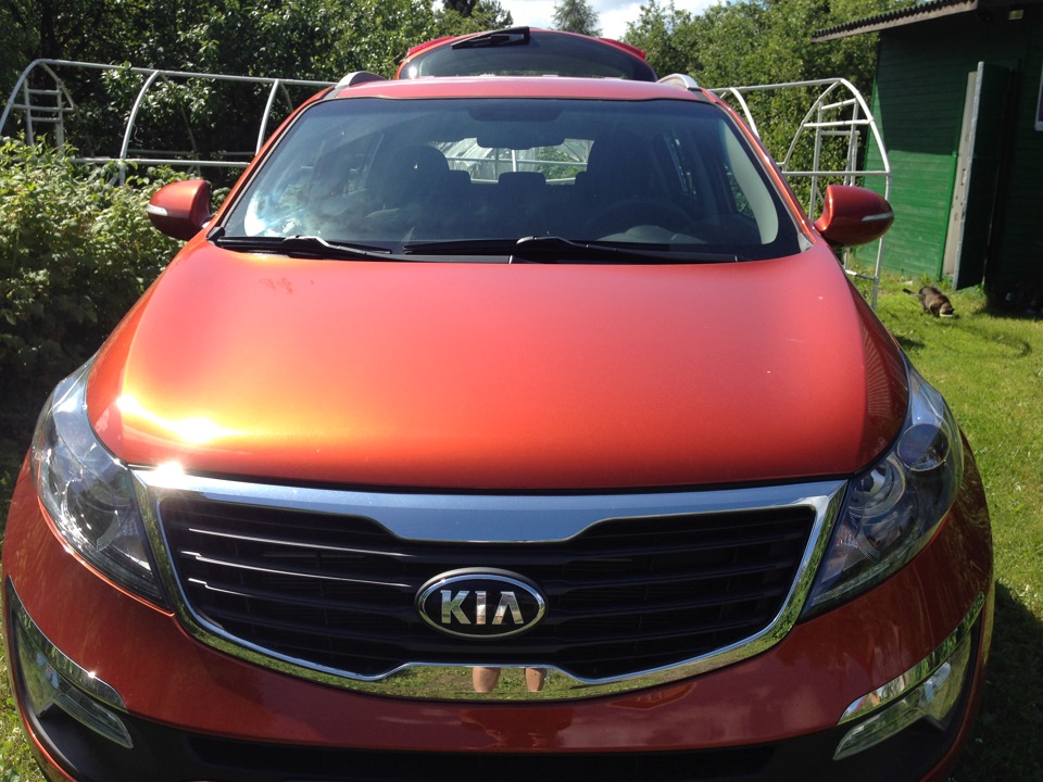 Решетка. — KIA Sportage (3G), 2 л, 2013 года | стайлинг | DRIVE2