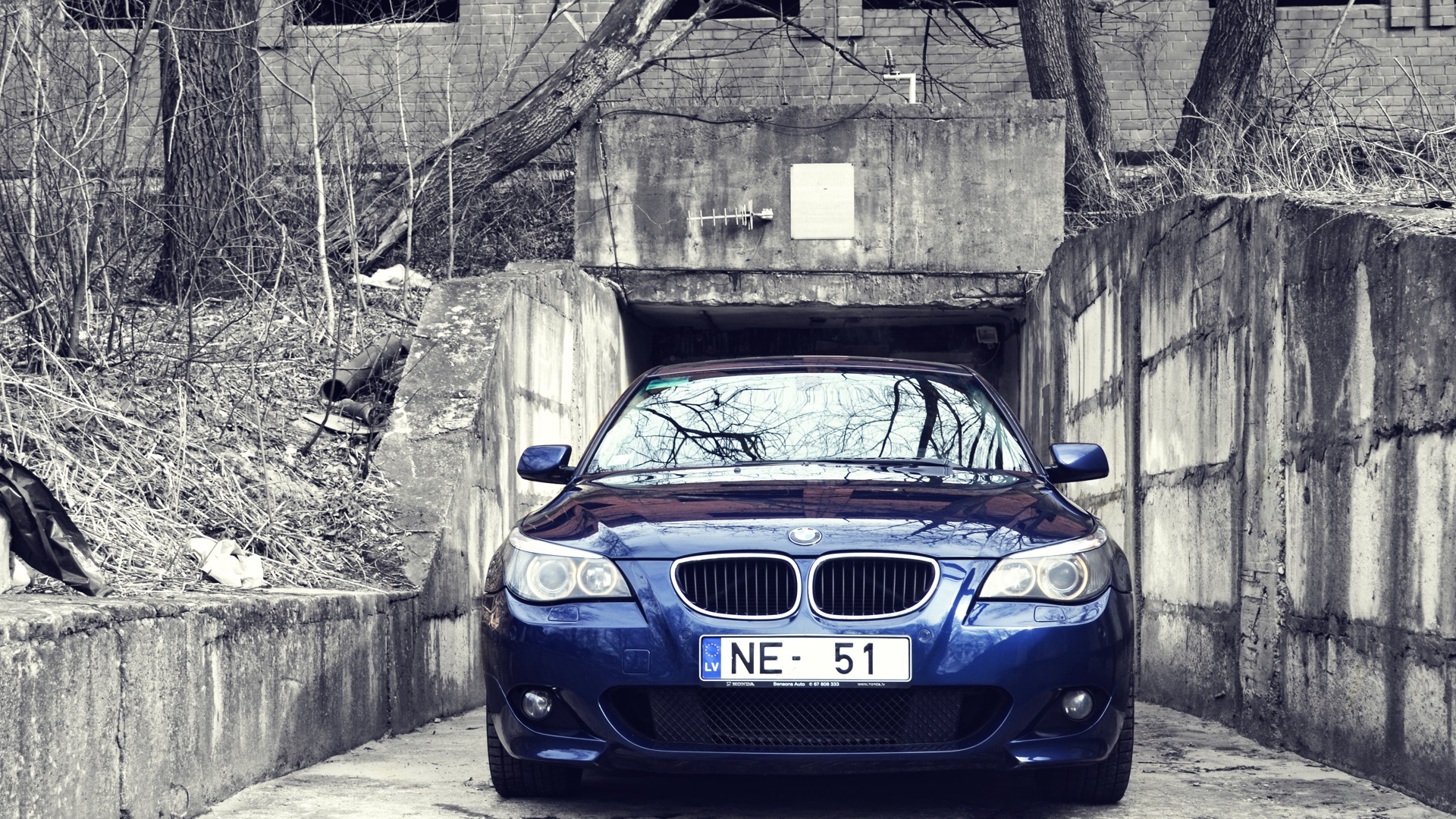 BMW 5 series (E60) 2.5 бензиновый 2004 | BLUE MOTION на DRIVE2